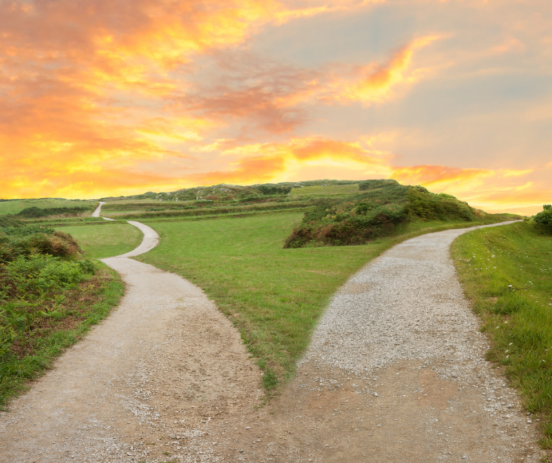 How We Choose at Our Everyday Crossroads - The Paradigm Shifts