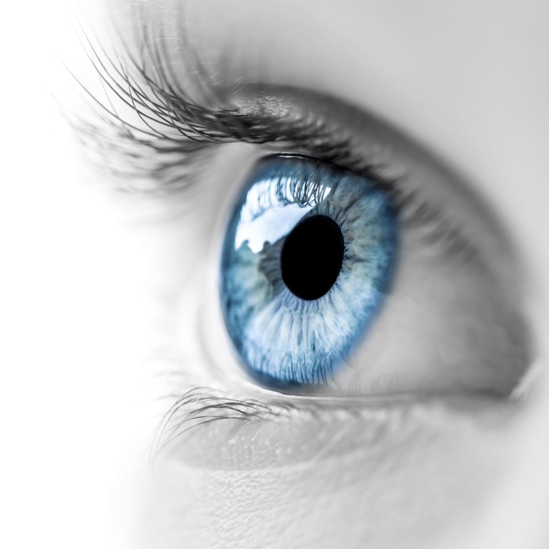 There’s So Much More to Being Than Meets the Eye - The Paradigm Shifts